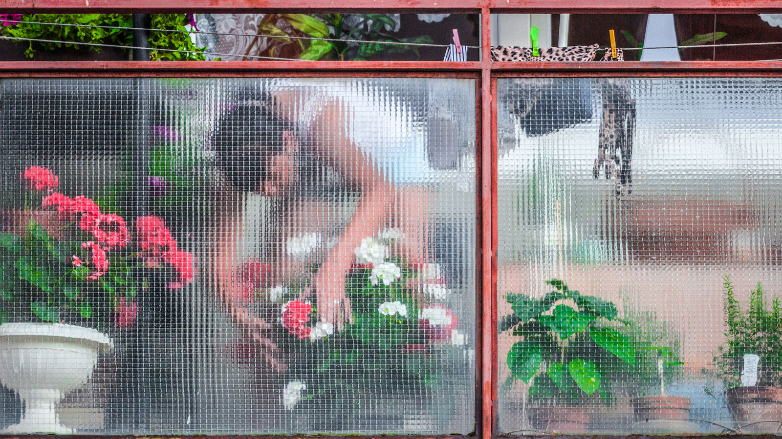 Публичная приватность — Kalidor.net